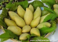 Mango (Xoai) - Vietnam Cuisine
